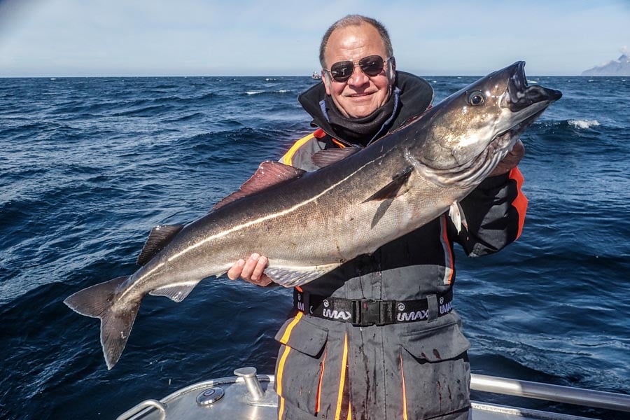 Types Of Fish In Norway – Norwegian Seafood Names – BTMPSP