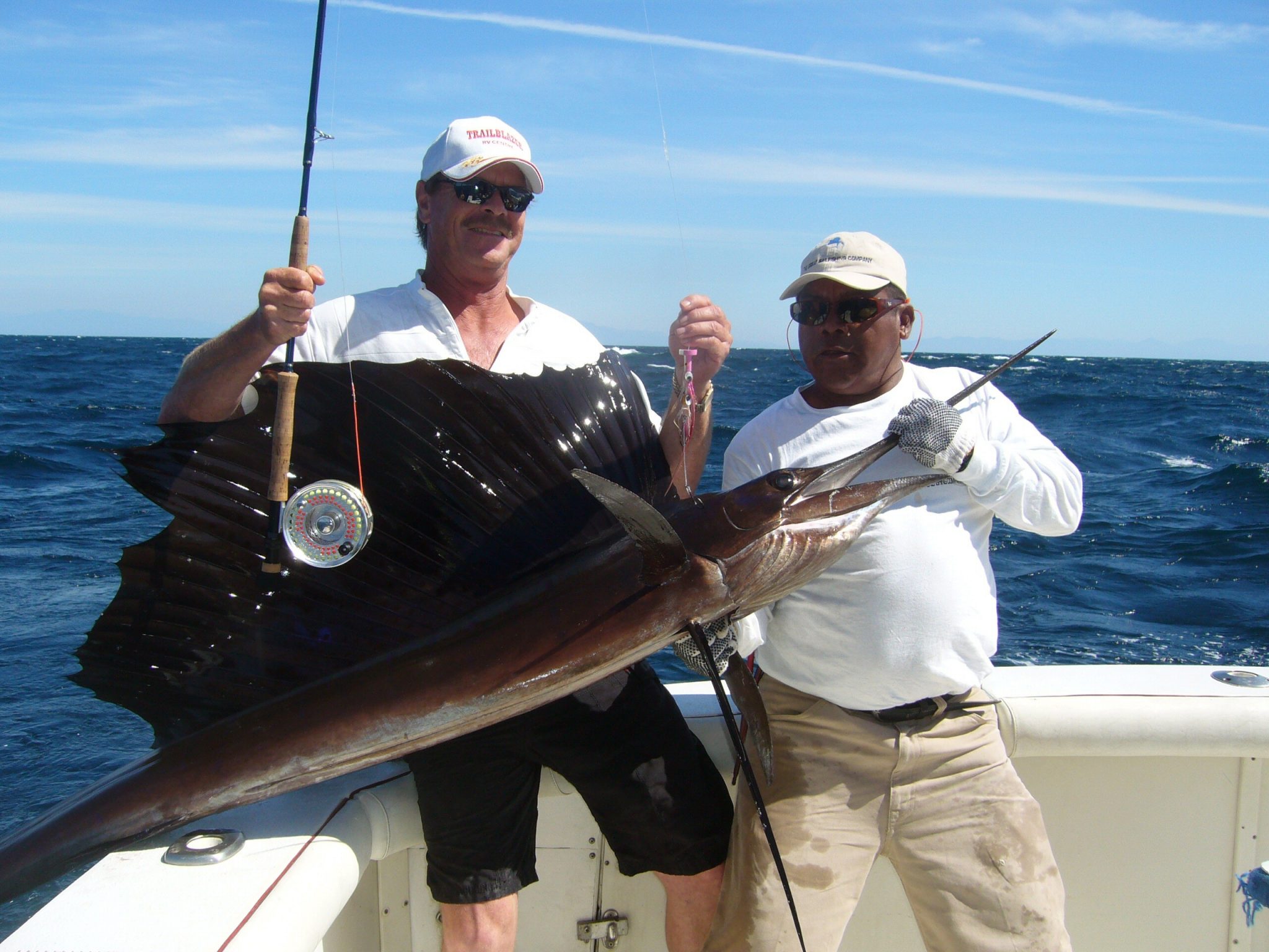Species Spotlight | Sailfish | Big game Fishing | Sportquest Holidays