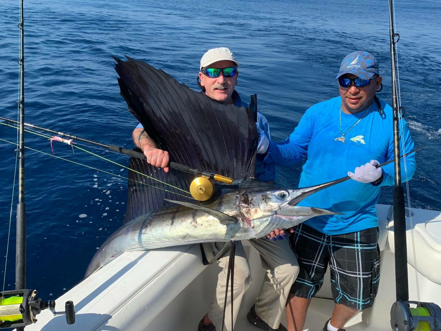 Species Spotlight | Sailfish | Big game Fishing | Sportquest Holidays