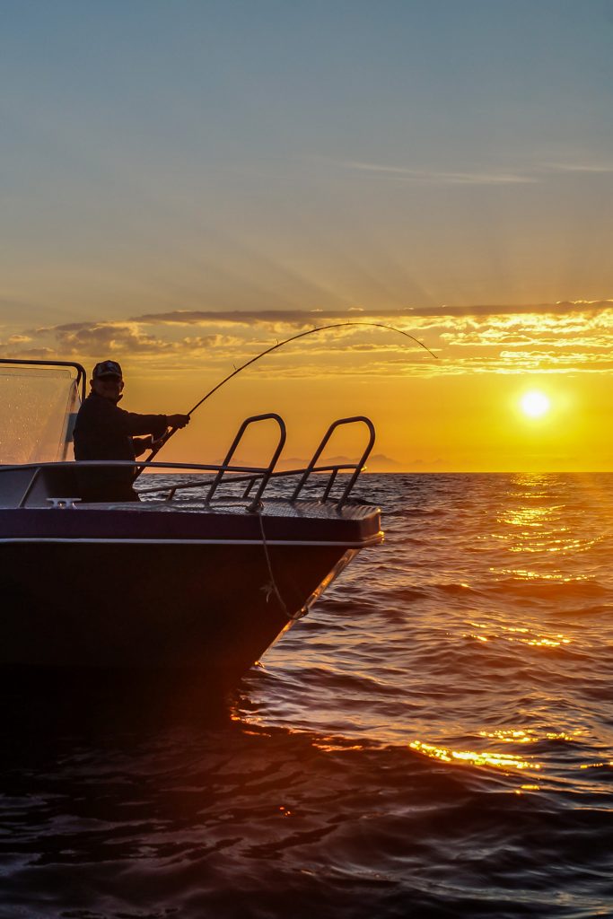 Saltstraumen Fishing Holiday | Bodo | Northern Norway