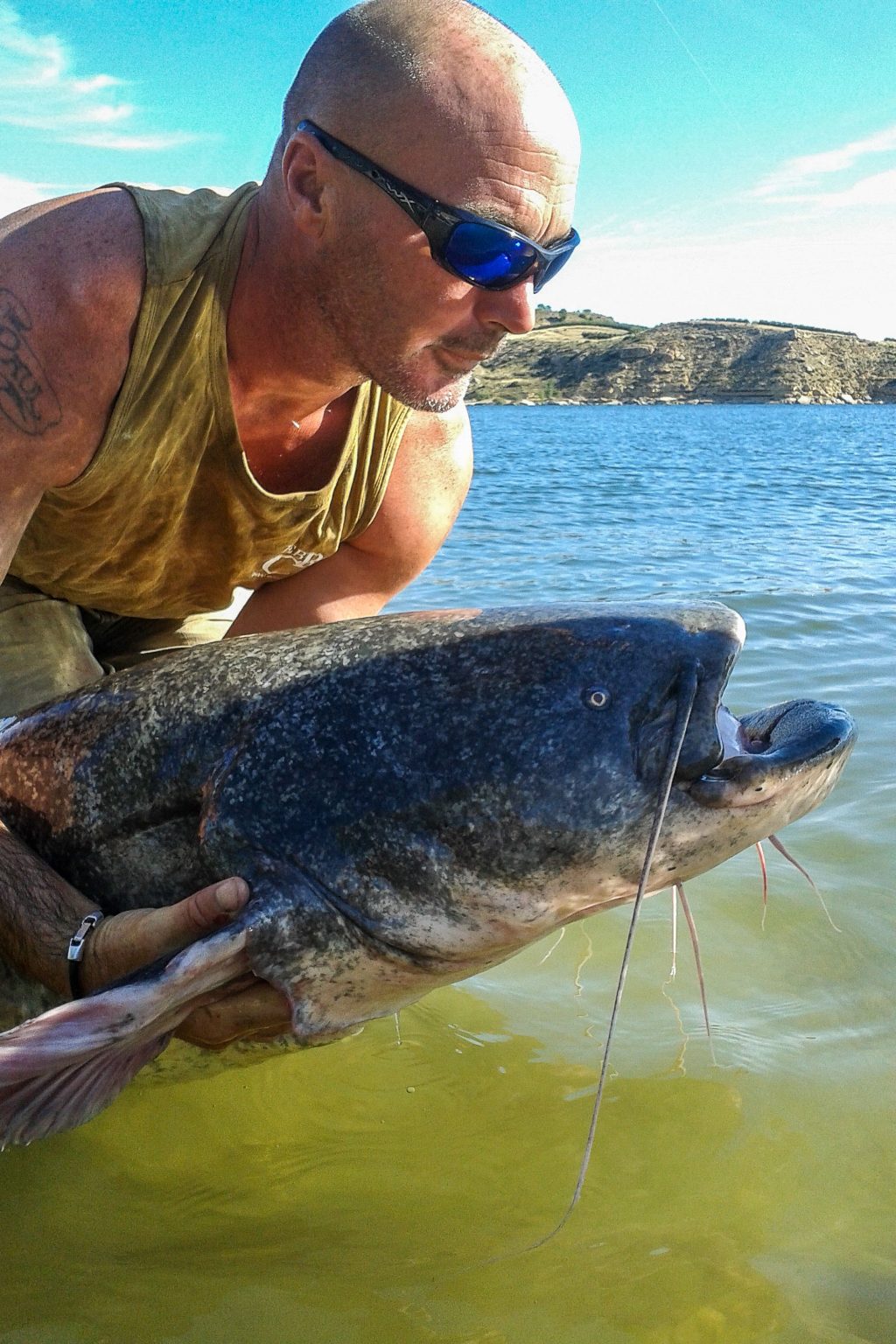 Family Catfishing Holidays River Ebro | Spain | Sportquest