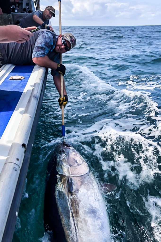 Giant Bluefin Tuna Fishing | Prince Edward Island | Canada