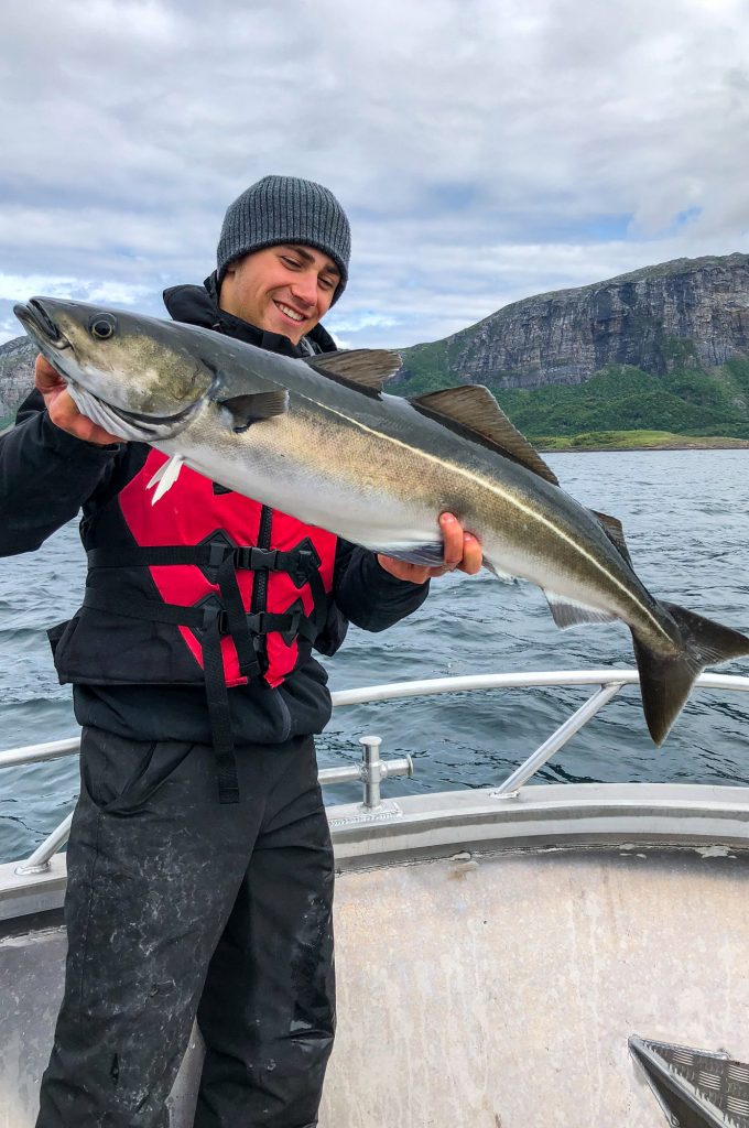 Saltstraumen Fishing Holiday | Bodo | Northern Norway