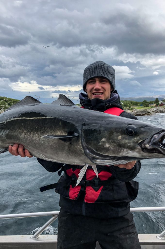Saltstraumen Fishing Holiday | Bodo | Northern Norway