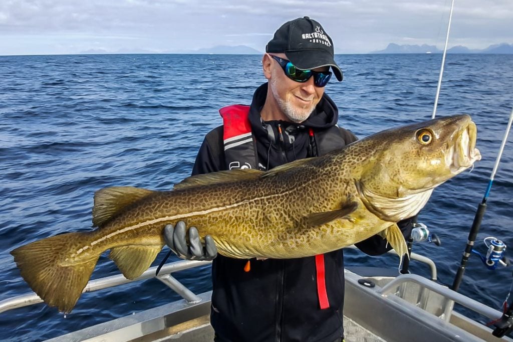 Saltstraumen Fishing Holiday | Bodo | Northern Norway