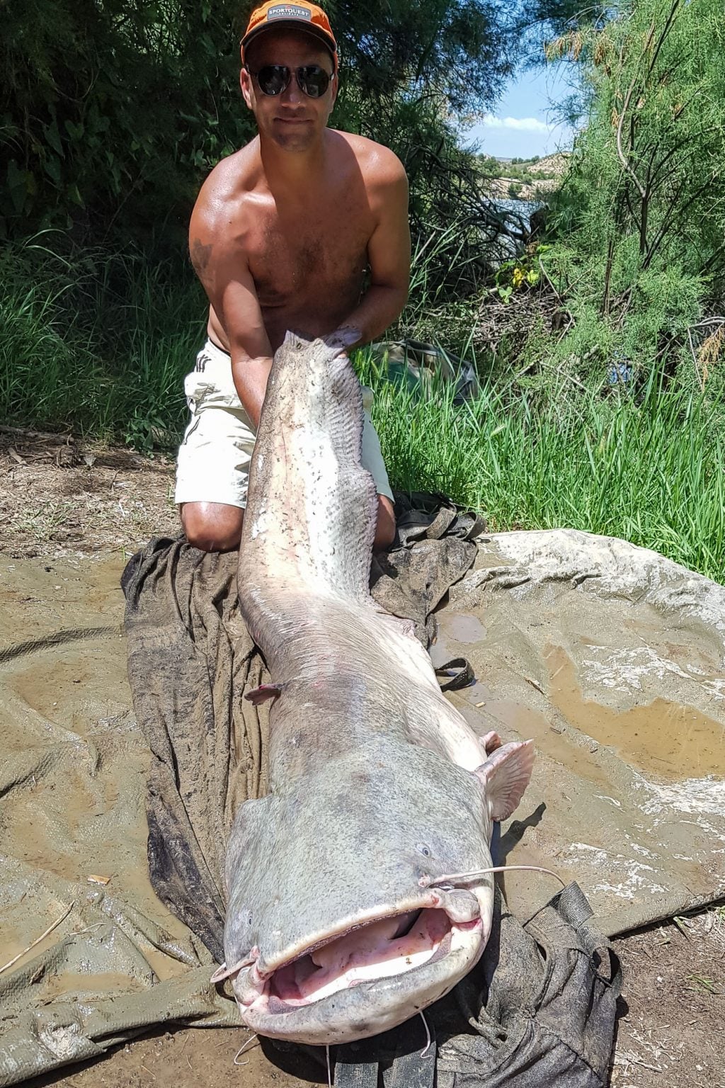 River Ebro | Catfish Fishing Holidays | Sportquest Holidays