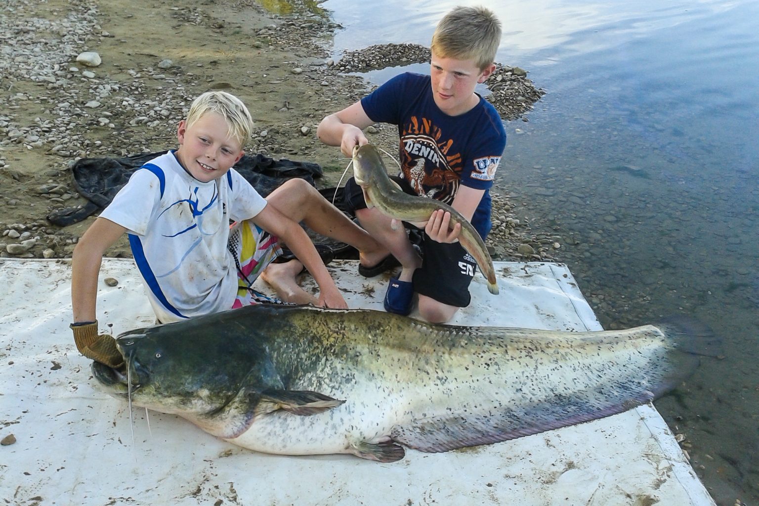 Family Catfishing Holidays River Ebro | Spain | Sportquest
