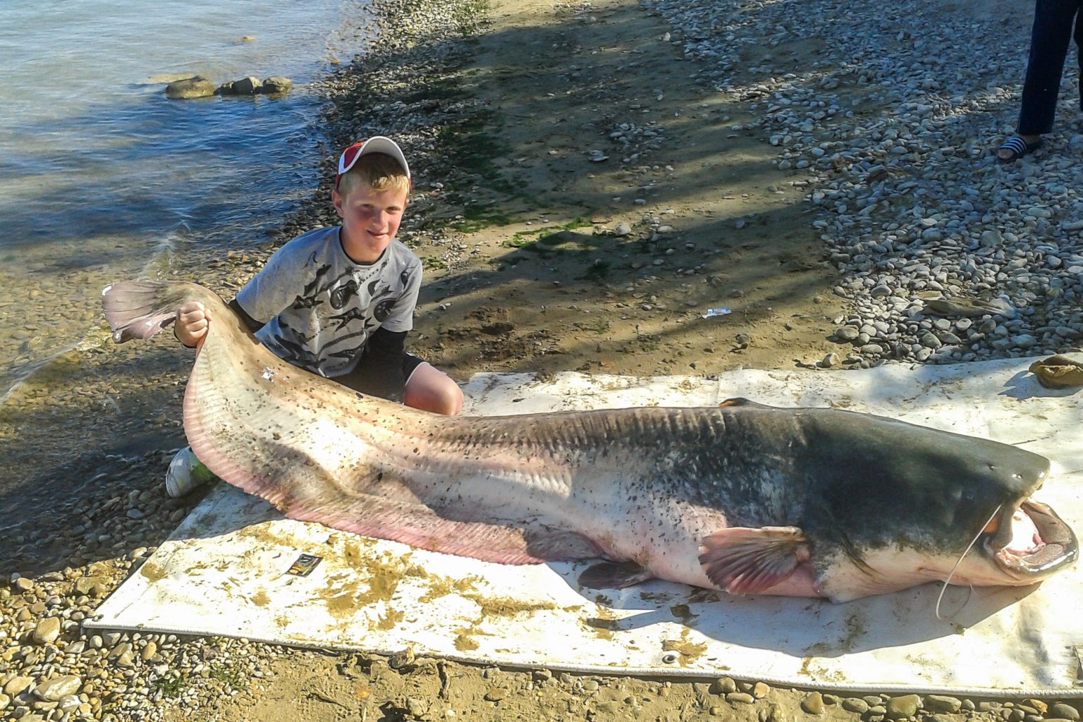 Family Catfishing Holidays River Ebro | Spain | Sportquest