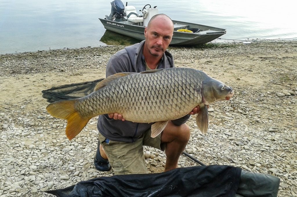 Family Catfishing Holidays River Ebro | Spain | Sportquest