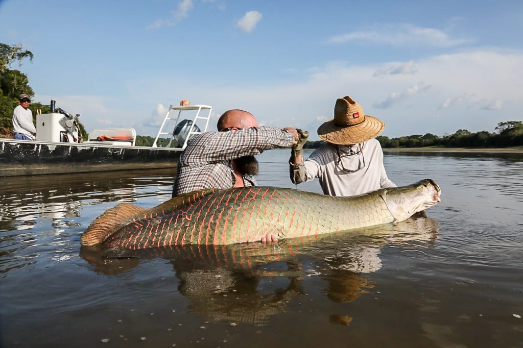 Pirarucu Lodge | Fly Fishing Arapaima | Brazil