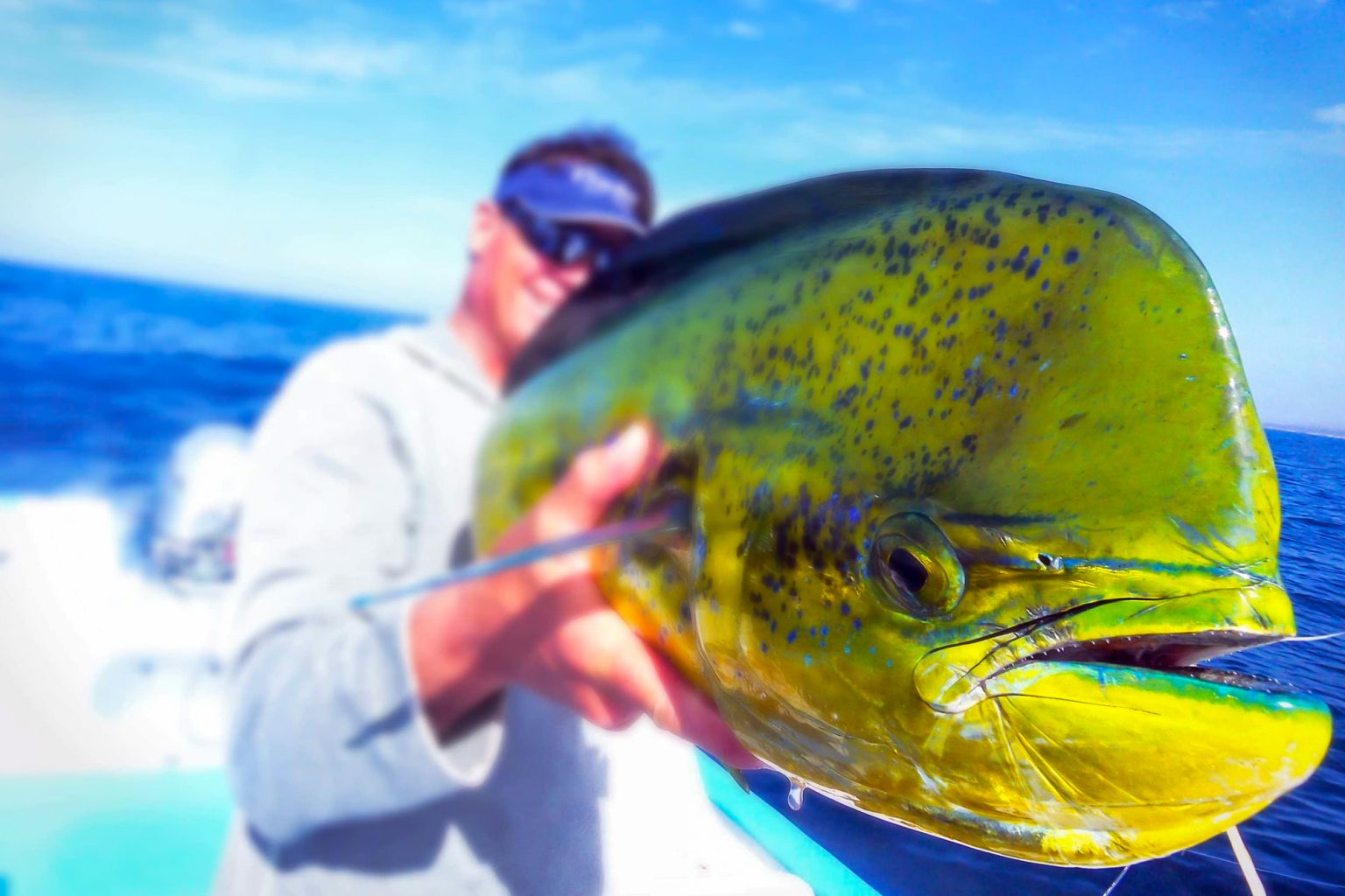 Fly Fishing For Roosterfish | Baja Mexico | Bay Of Dreams | Sportquest