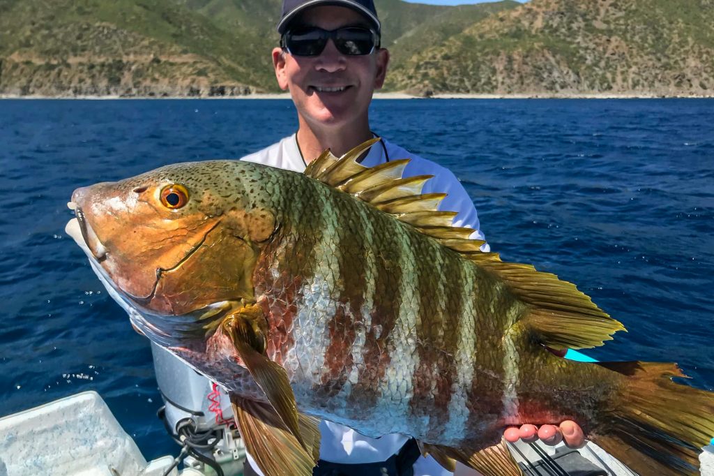 Fly Fishing For Roosterfish | Baja Mexico | Bay Of Dreams | Sportquest