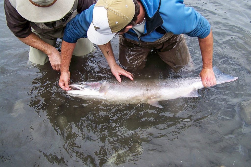 Nicholas Dean Steelhead Fishing | Salmon | British Columbia | Canada