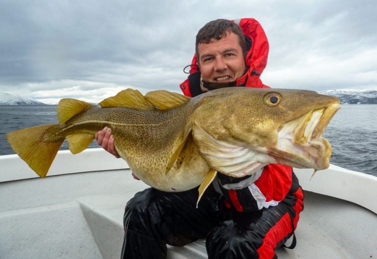 Norway Sea Fishing Holidays | Sportquest Holidays