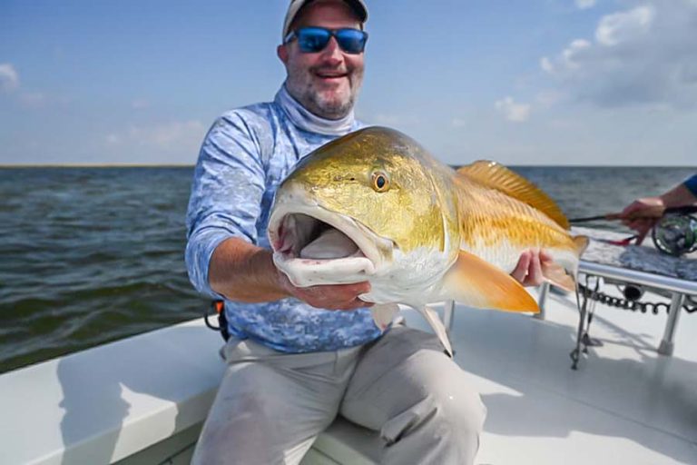 Species Spotlight: Redfish | Sportquest Holidays