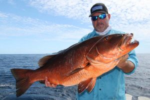 Species Spotlight: Cubera Snapper | Sportquest Holidays