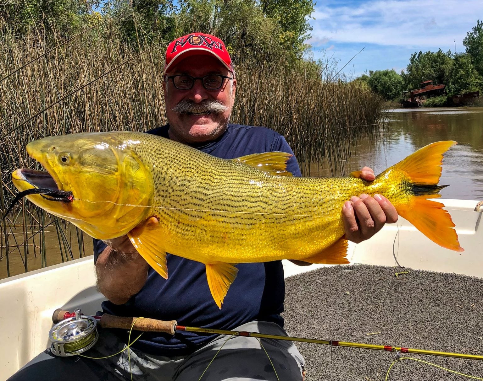 Golden Dorado Fishing | Freshwater Fly & Lure | Sportquest Holidays