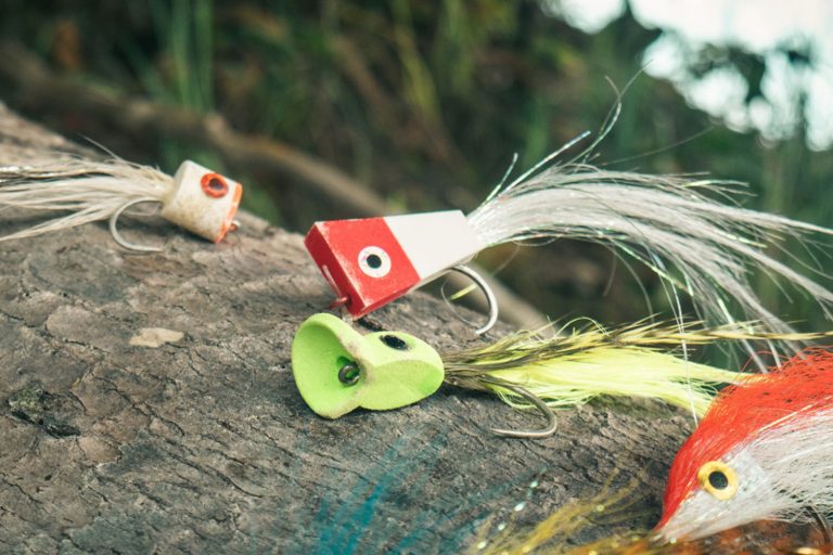 Nile Perch: Species Spotlight | Fishing Holidays | Sportquest Holidays