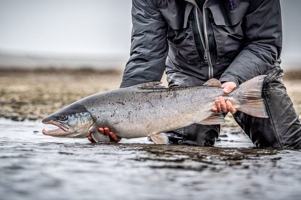 Howenh Lodge | Argentina Sea Trout Fishing | Sportquest Holidays