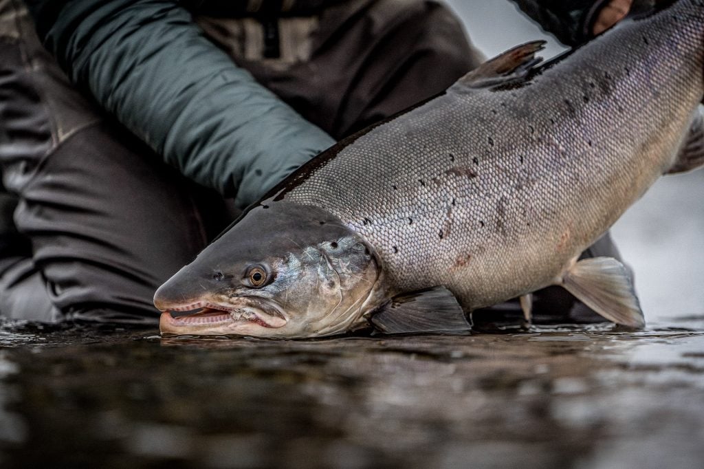 Howenh Lodge | Argentina Sea Trout Fishing | Sportquest Holidays