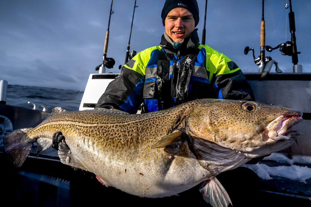 Luxury Sea Fishing | Fully Guided | Soroya | Norway | Sportquest