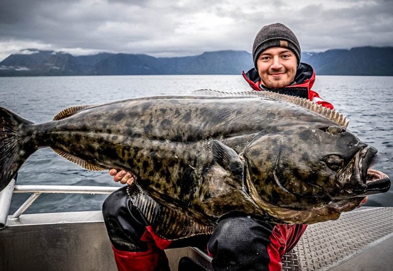 Norway Sea Fishing Holidays | Sportquest Holidays