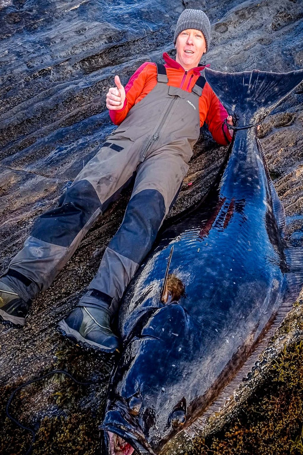 Norway Shore Fishing Holidays | Saltstraumen Brygge | Sportquest