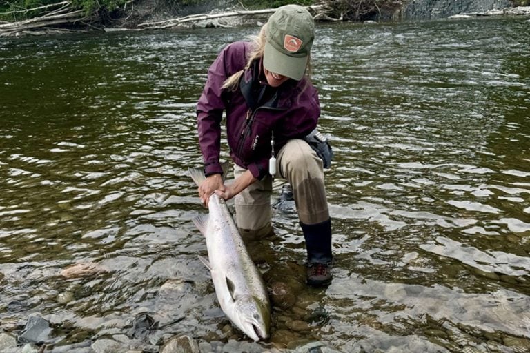 Catch Reports Salmon Lodges In Norway - Week 22, 2024 | Sportquest Holidays