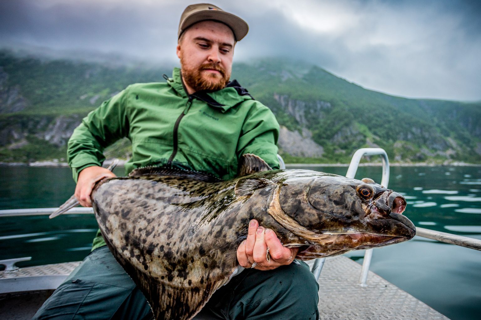 Camp Steinfjord | Guided Sea Fishing | Norway | Sportquest Holidays