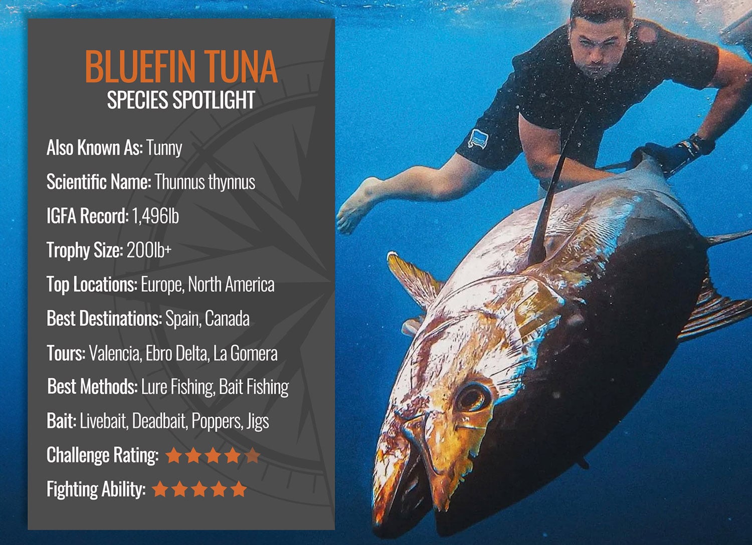 The Top Tuna Fishing Destinations In The World | Sportquest Holidays