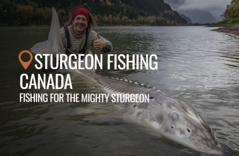 Best Canadian Fishing Lodges for Fly & Freshwater Anglers | Sportquest ...