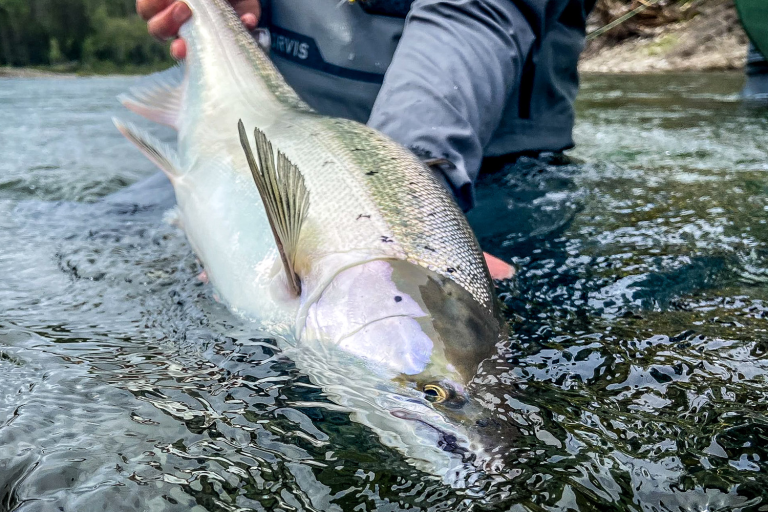 The Best Atlantic Salmon Fishing Destinations In The World | Sportquest ...
