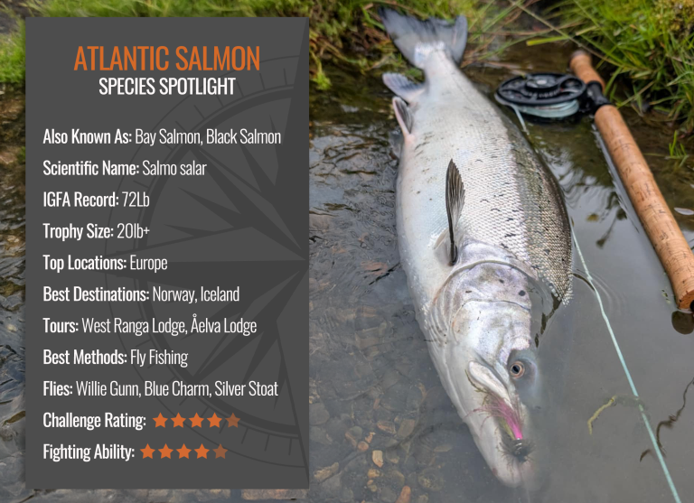 The Best Atlantic Salmon Fishing Destinations In The World | Sportquest ...