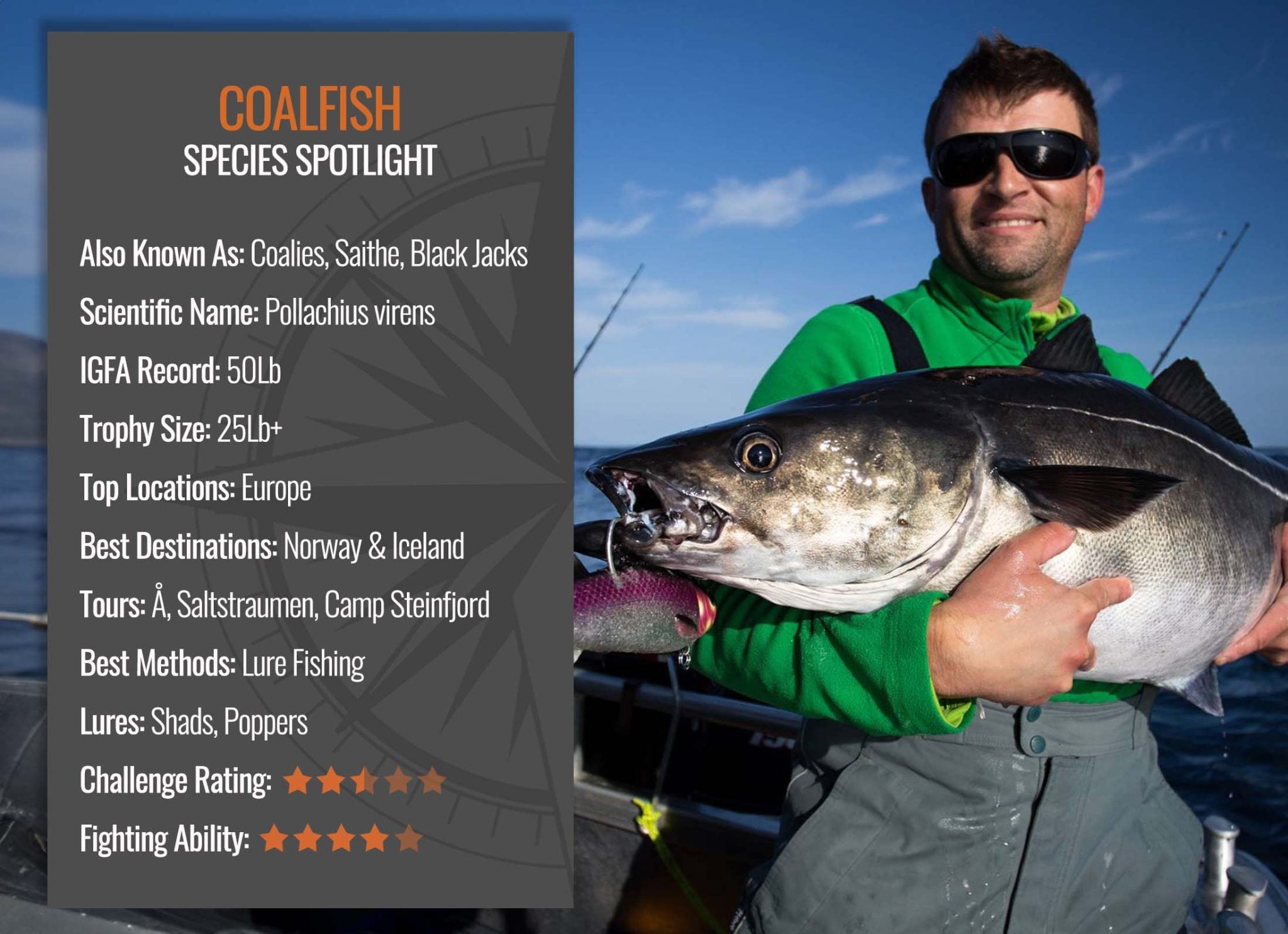 The Ultimate Lodges To Target Coalfish in Norway | Sportquest Holidays