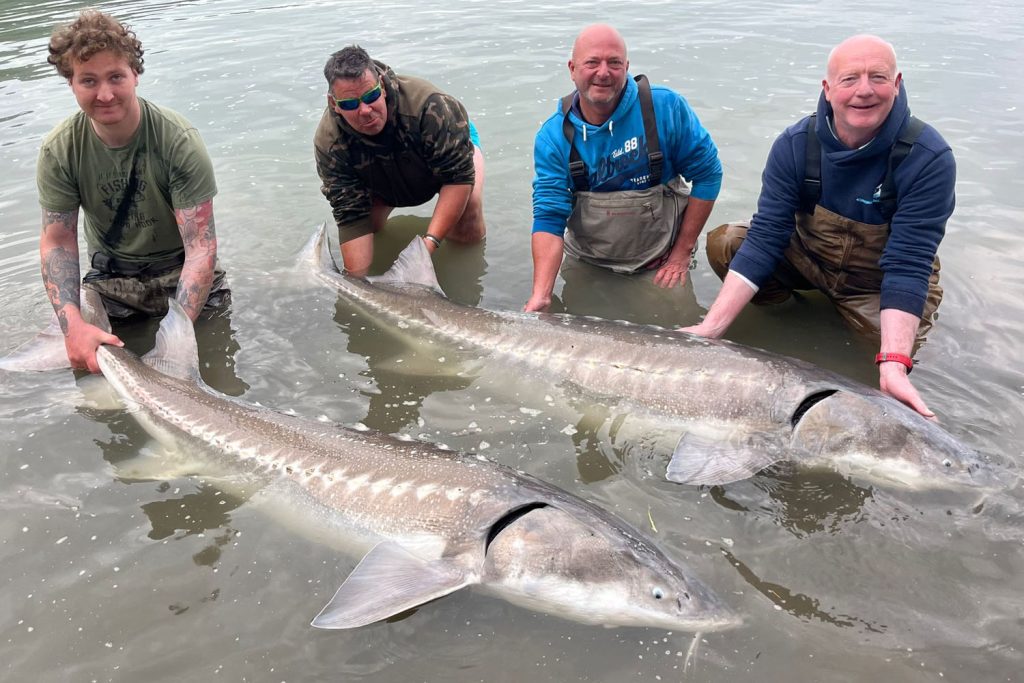 Sportquest Holidays Hosted Sturgeon Fishing Trip – Canada 2025 ...