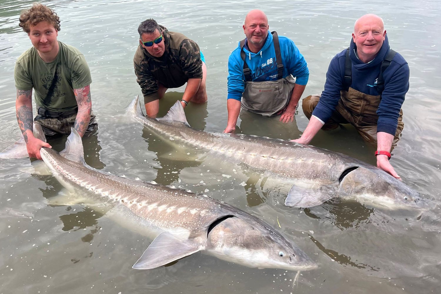 Species Spotlight: Zander | Sportquest Holidays